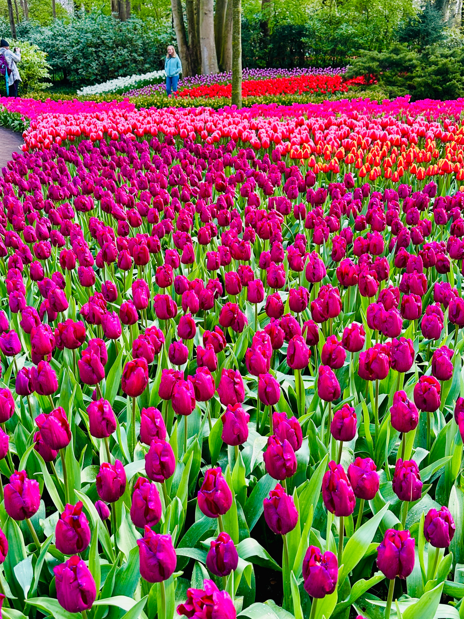 Most Beautiful Spring Garden - Plan Your Dream Trip (2024)